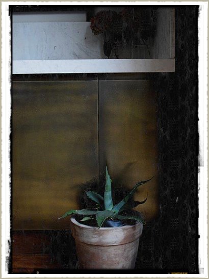 Brass Kitchen Doors | Decorative