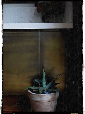 Aged Brass- antique brass finish, brass kitchens, brass kitchen doors ...